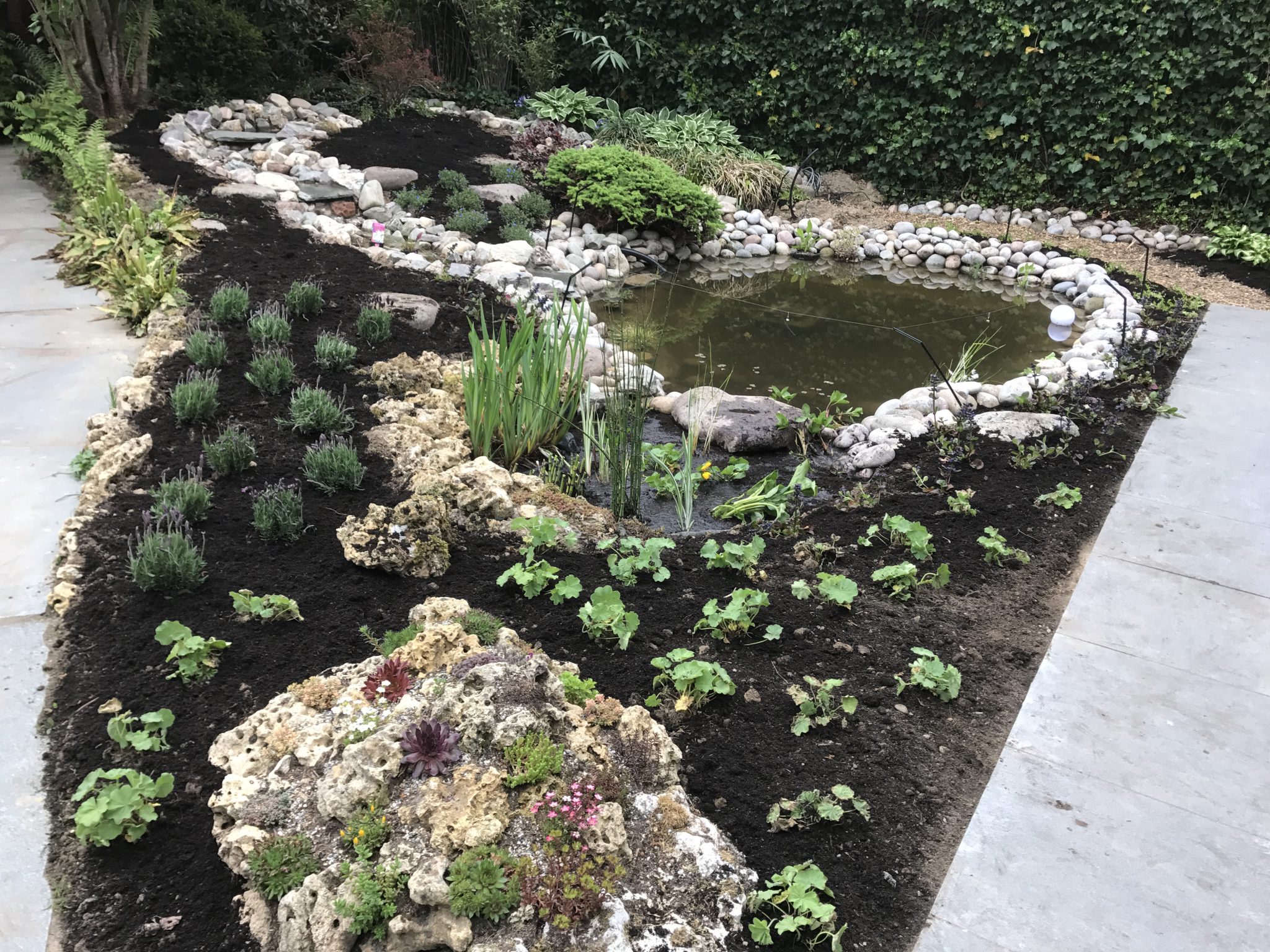 Home - Custom Gardens